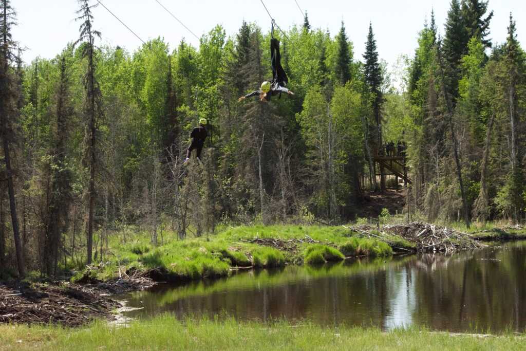 Zipline Adventures in the Boreal Forest – Treeosix Adventure Parks