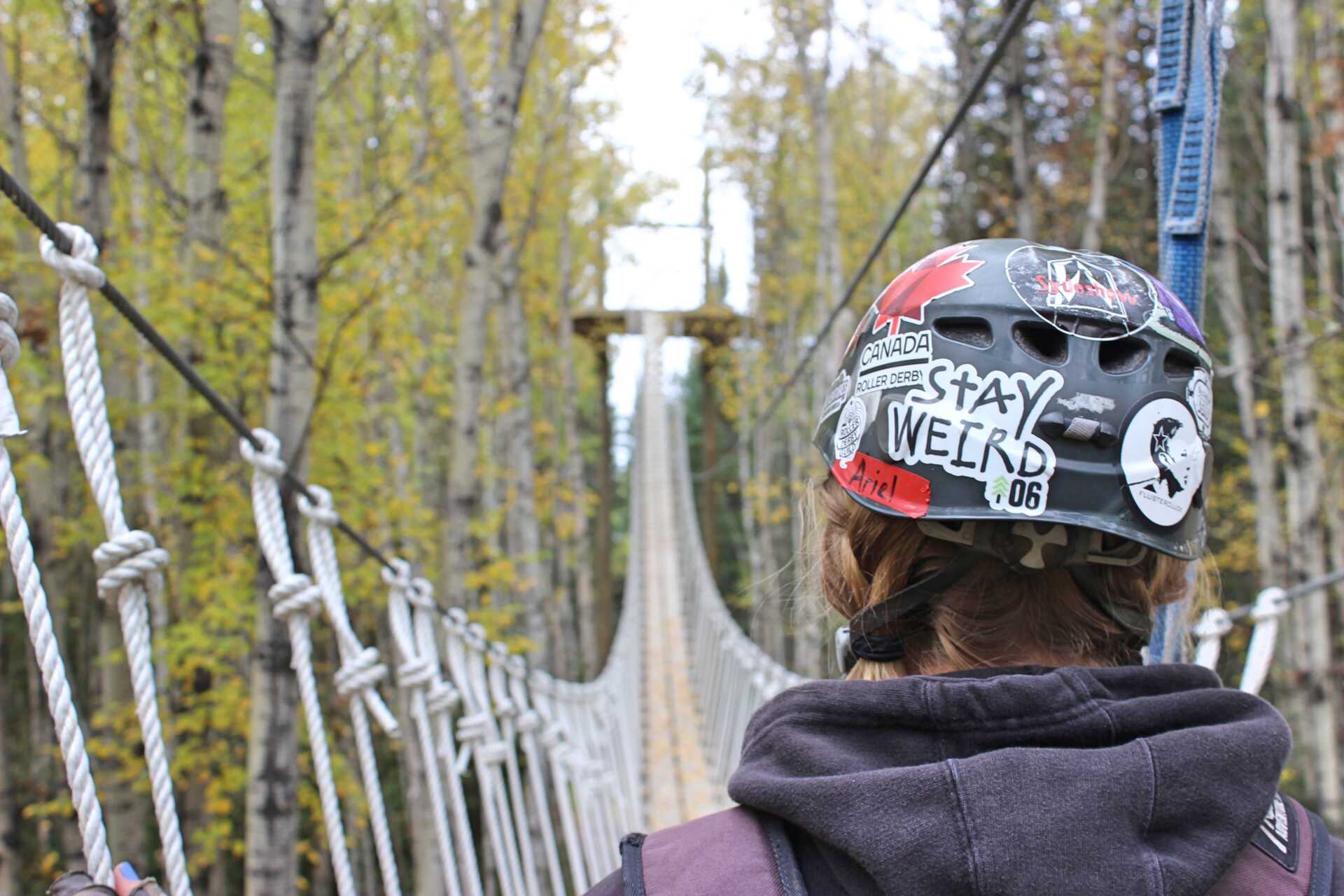 Zipline Adventures in the Boreal Forest – Treeosix Adventure Parks