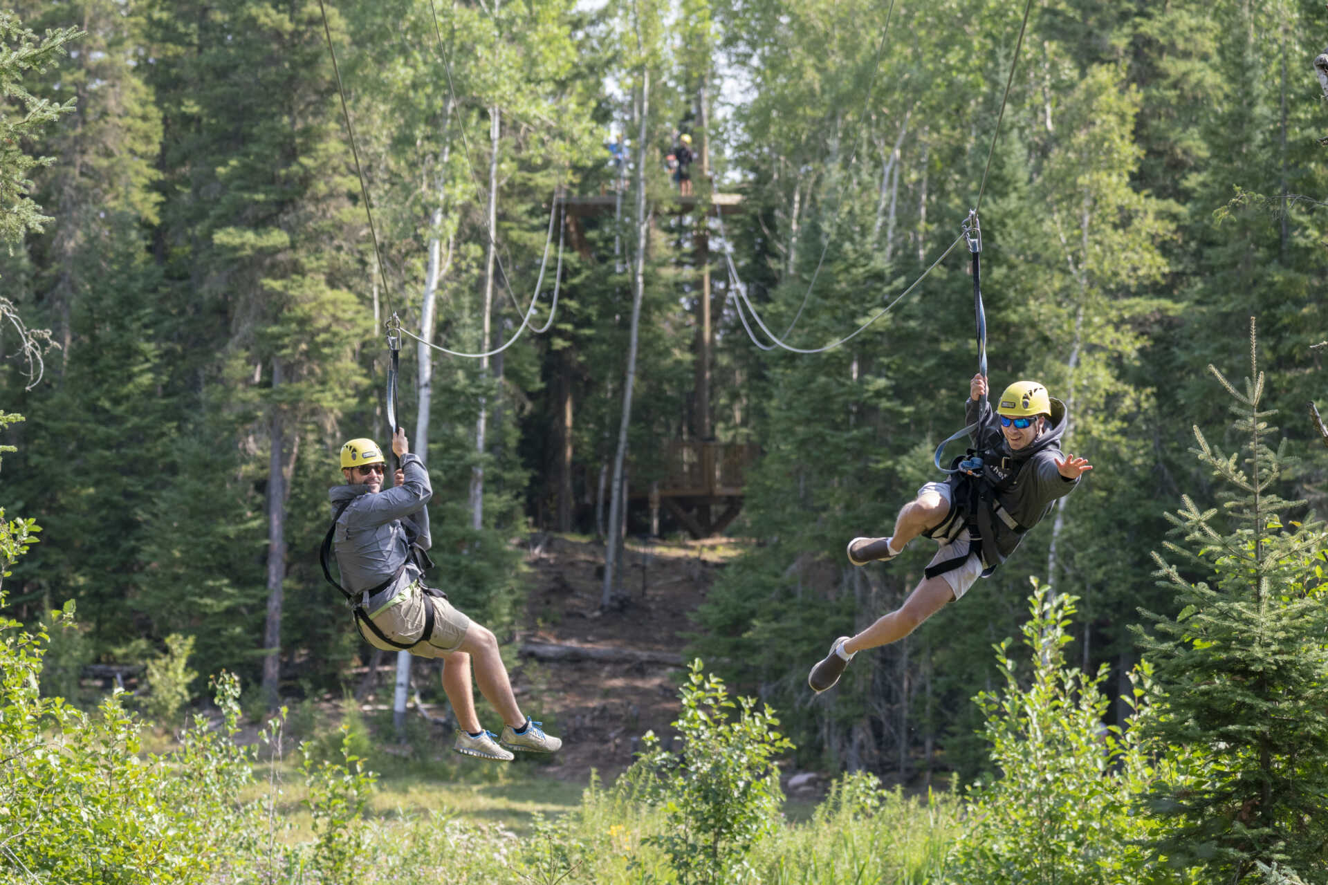 Zipline Adventures in the Boreal Forest – Treeosix Adventure Parks