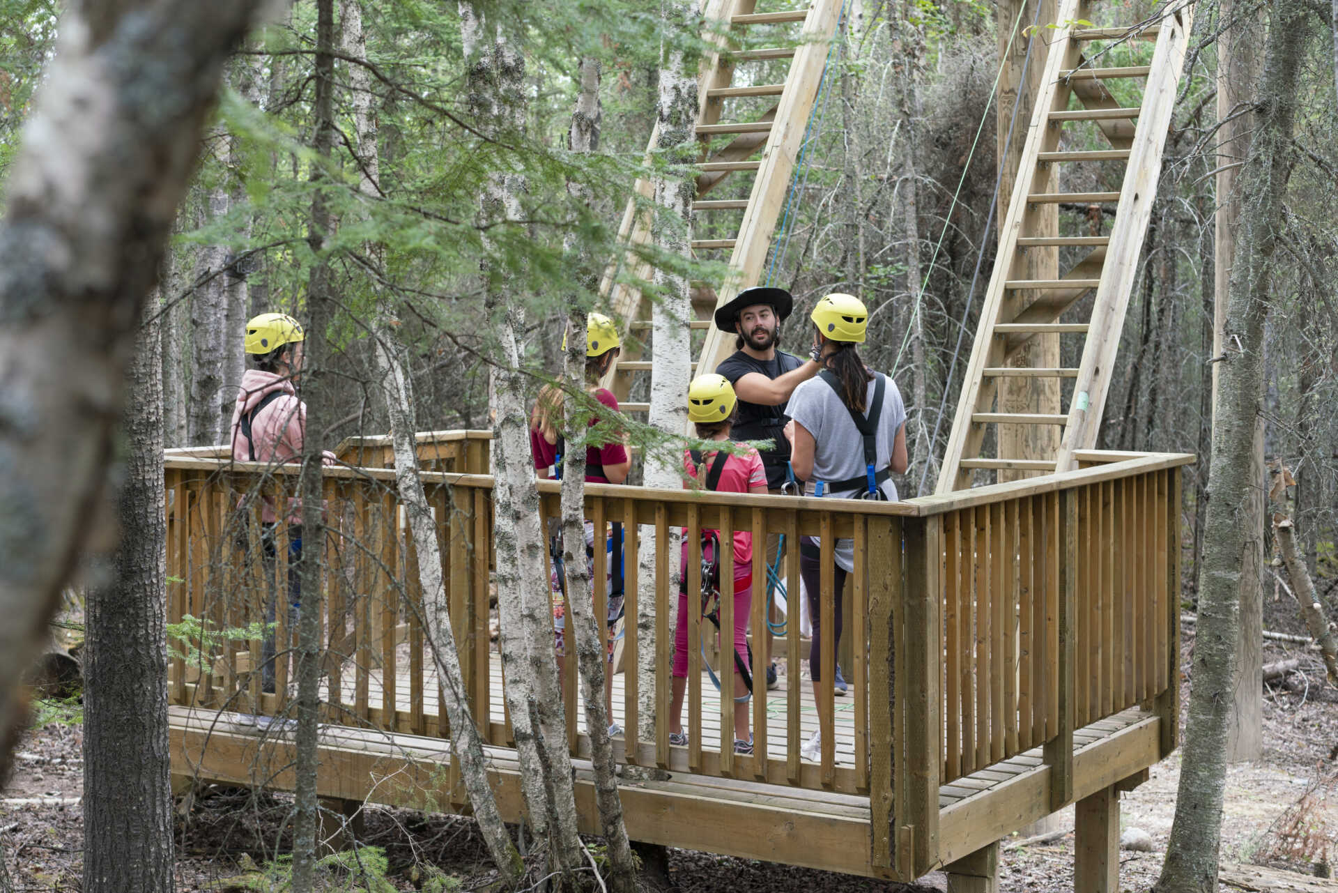 Zipline Adventures in the Boreal Forest – Treeosix Adventure Parks