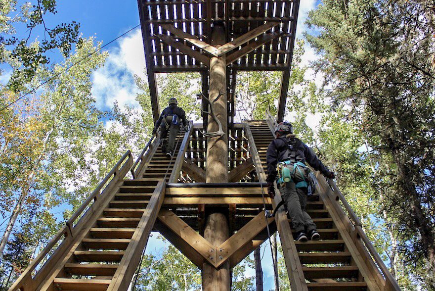 Zipline Adventures in the Boreal Forest – Treeosix Adventure Parks