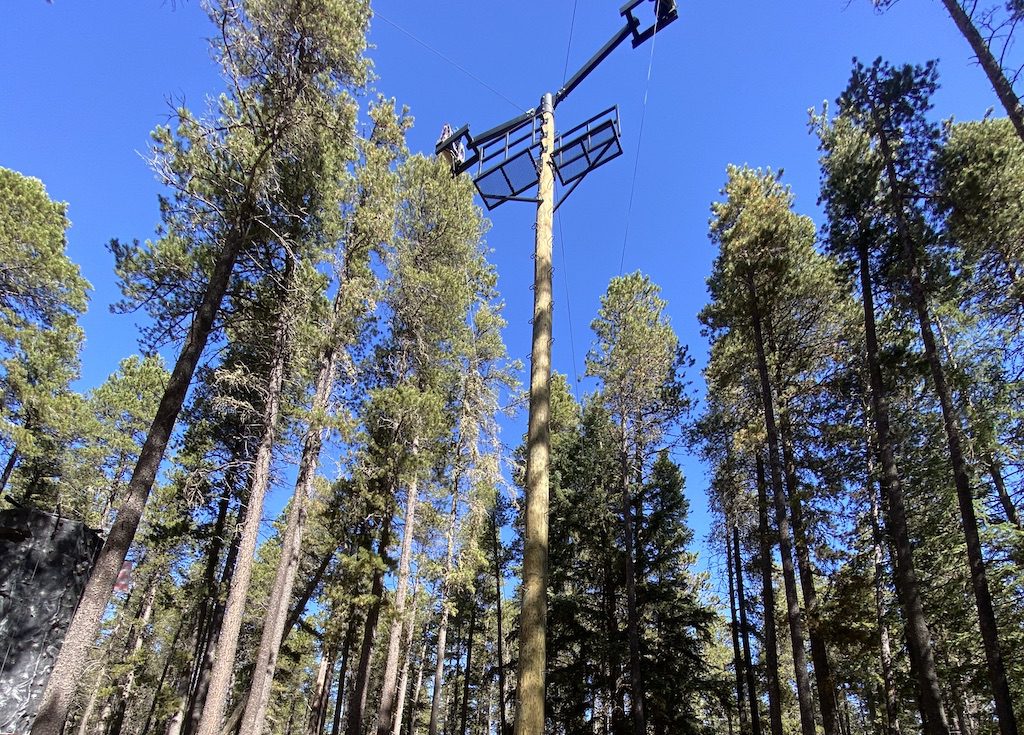 Treetop Drop – Treeosix Adventure Parks