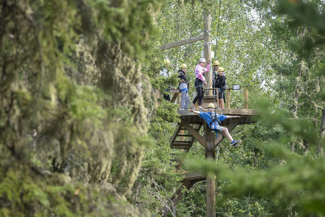 Zipline Adventures in the Boreal Forest – Treeosix Adventure Parks